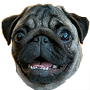 Eddie#4075 | racetime.gg